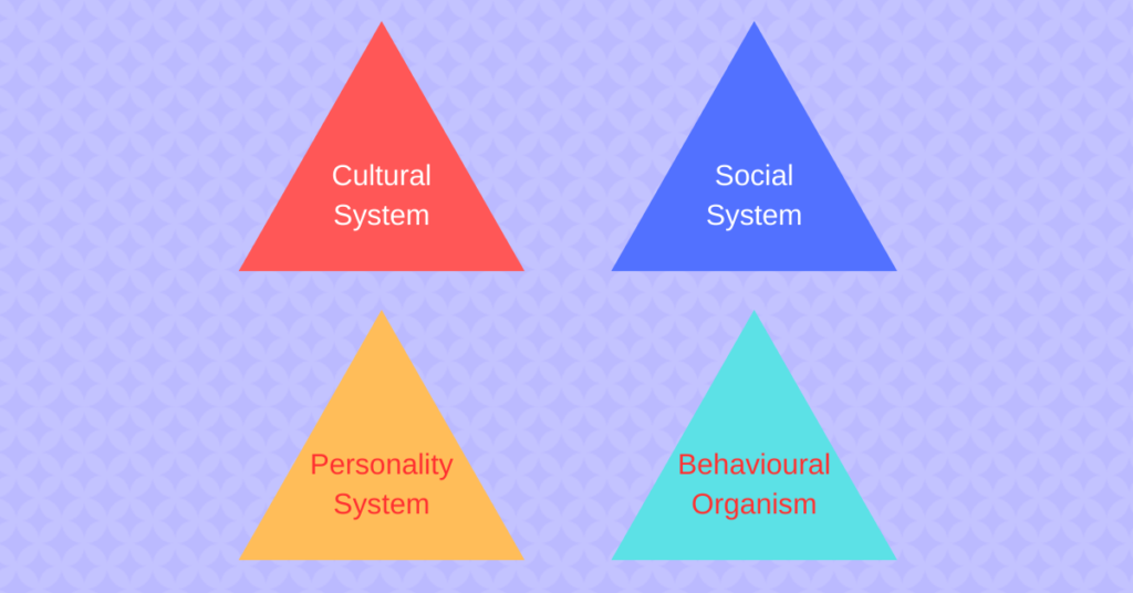 System Levels Theory - Parsons (Parsonian Social System) - PureSociology