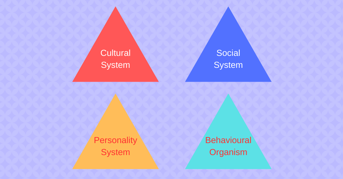 System Levels Theory - Parsons (Parsonian Social System) - PureSociology